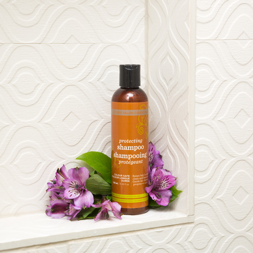 Healthy Home Enrollment Collection | doTERRA Essential Oils