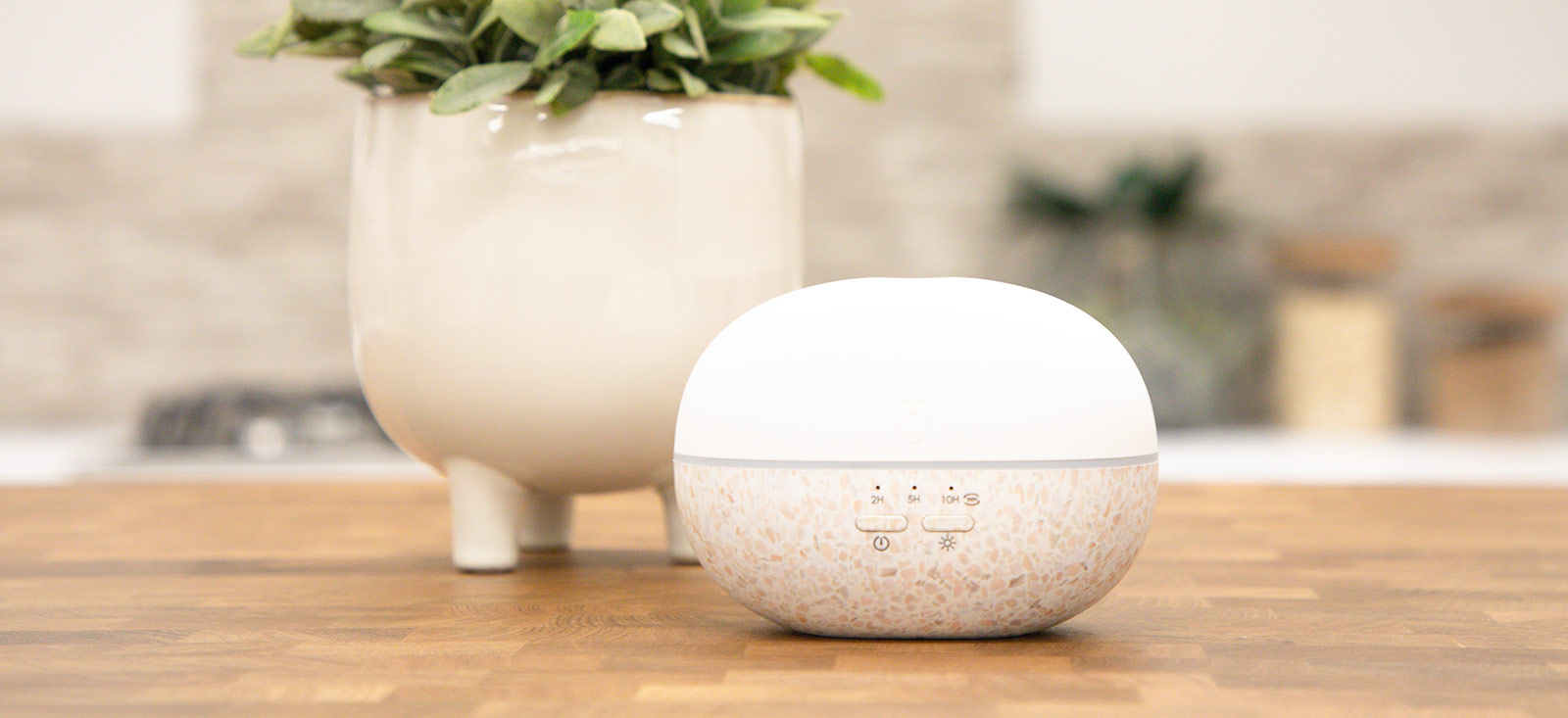 Enrollment Promotion 2023 | Free Gift with Purchase | dōTERRA Essential ...